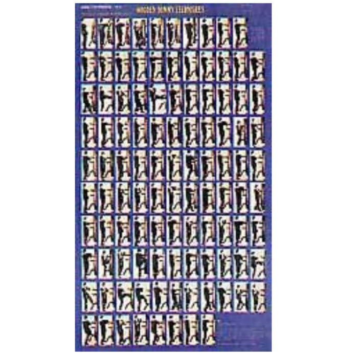 Poster Wooden Dummy – Dojo Brand